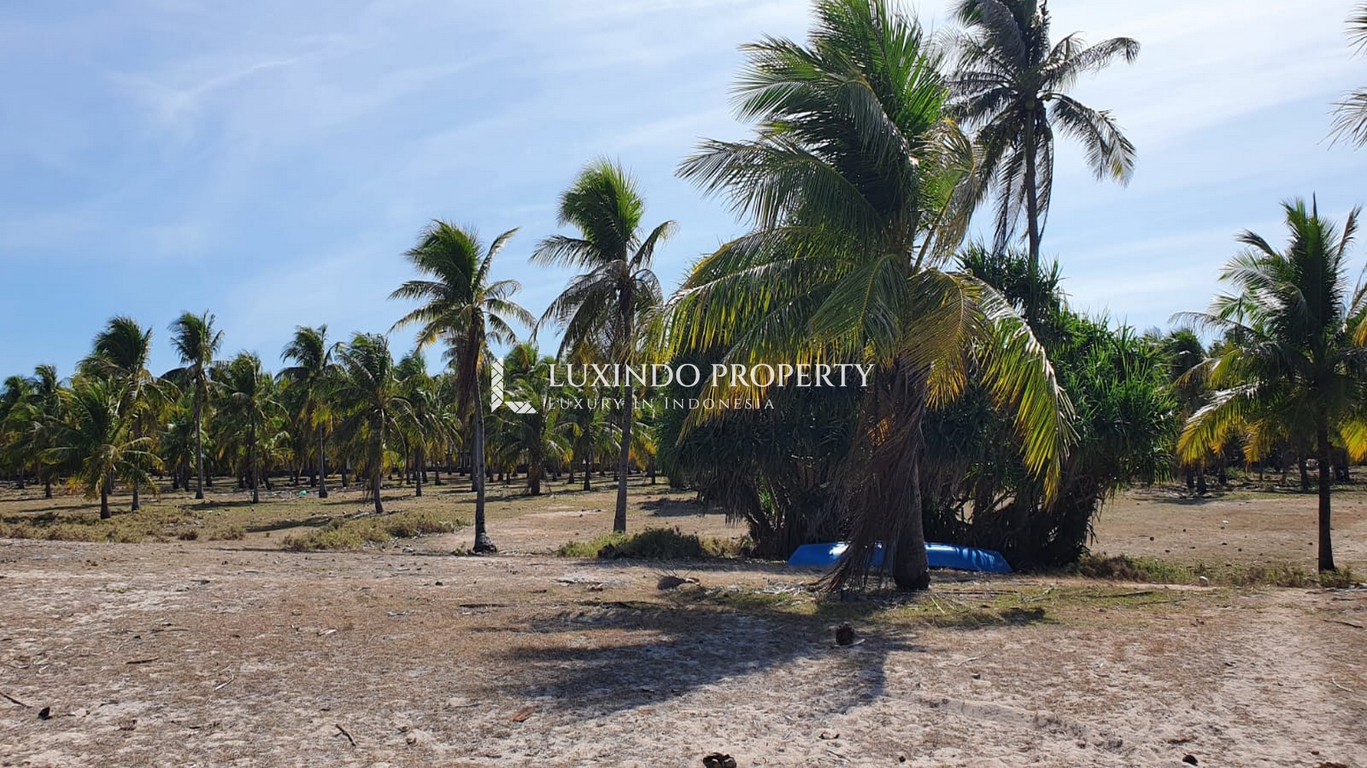ROTE ISLAND – BEACHFRONT LAND FOR LEASE (LHL110) | Luxindo Property