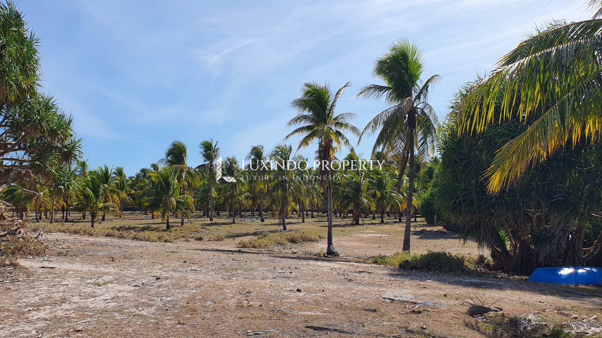 ROTE ISLAND – BEACHFRONT LAND FOR LEASE (LHL110) | Luxindo Property