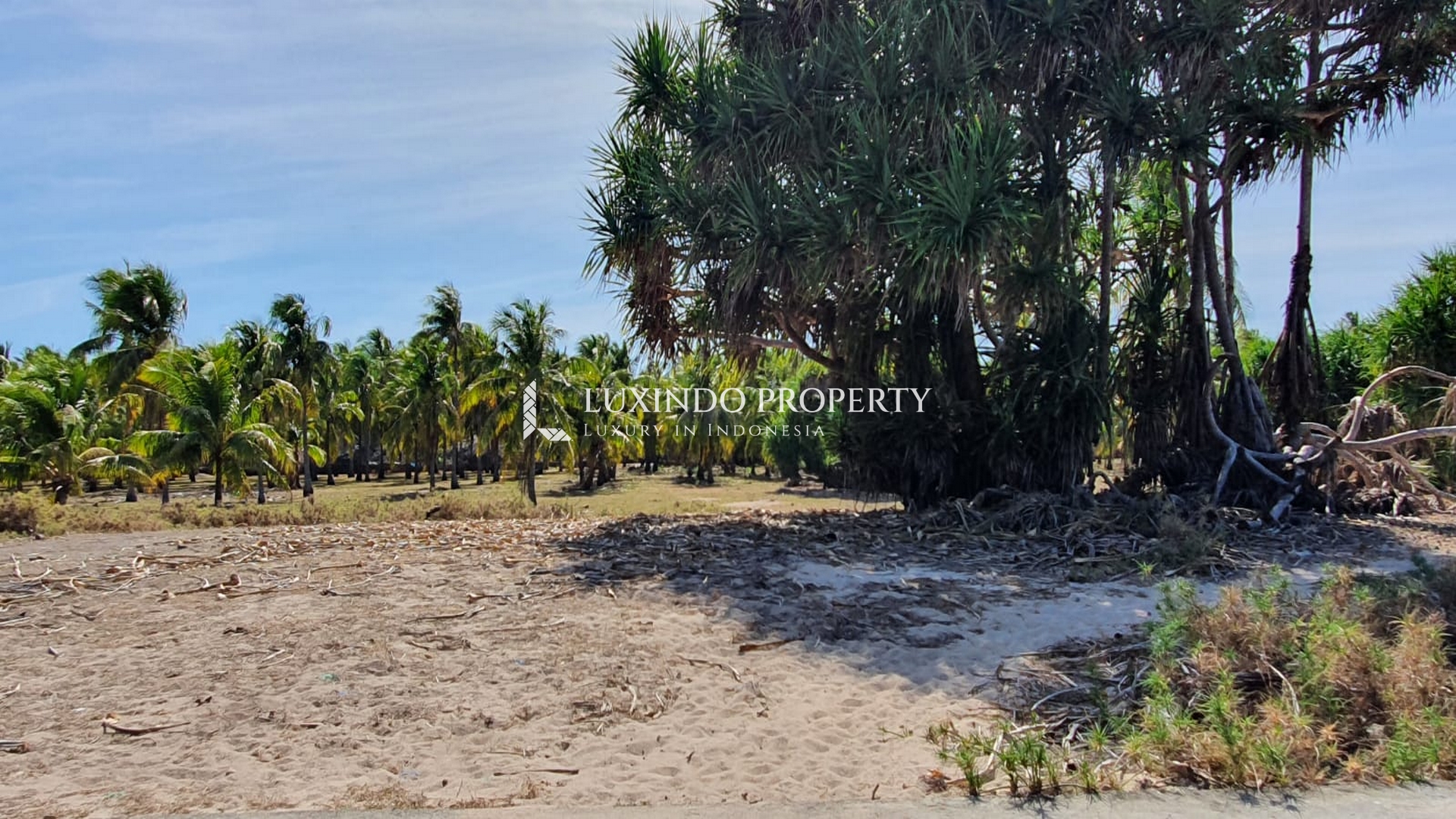 ROTE ISLAND – BEACHFRONT LAND FOR LEASE (LHL110) | Luxindo Property