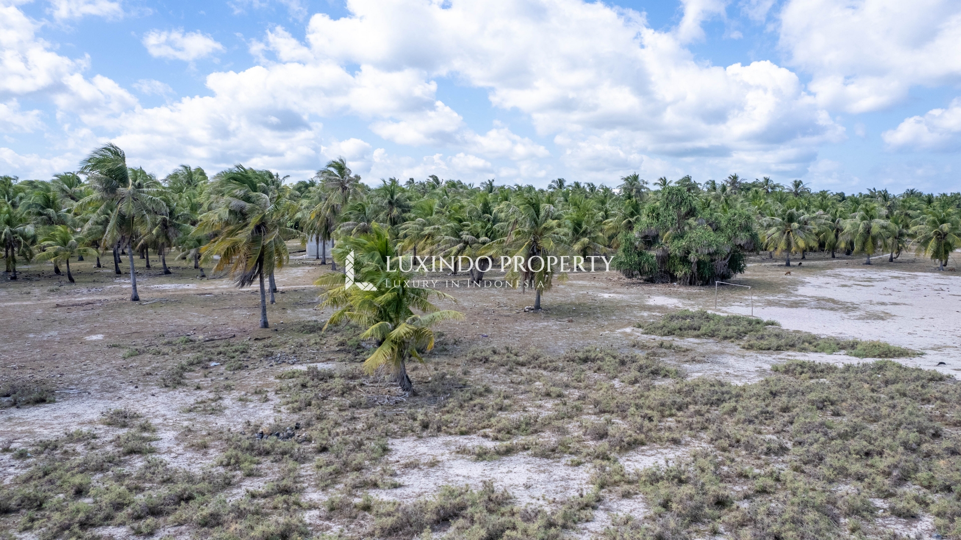 ROTE ISLAND – BEACHFRONT LAND FOR LEASE (LHL110) | Luxindo Property